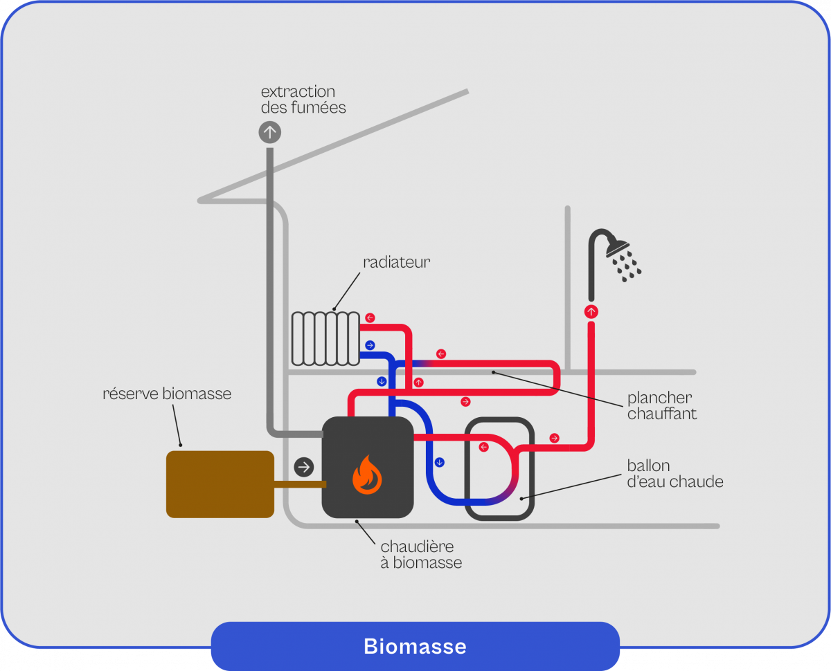 La biomasse : une source d'énergie renouvelable prometteuse - Airko